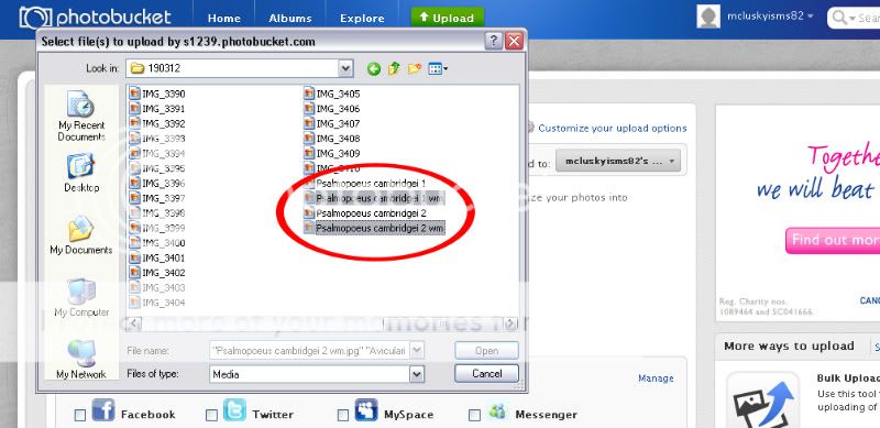 Posting Pictures using Photobucket - Updated Version | Reptile Forums