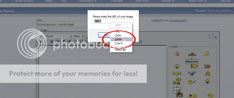 Posting Pictures using Photobucket - Updated Version | Reptile Forums