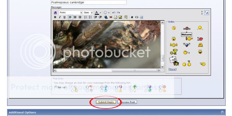 Posting Pictures using Photobucket - Updated Version | Reptile Forums