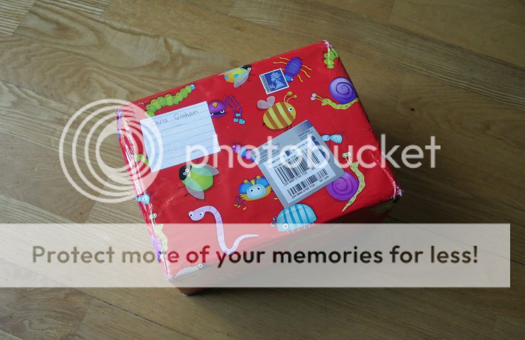 New Arrival - Awesome Packing!!! | Reptile Forums